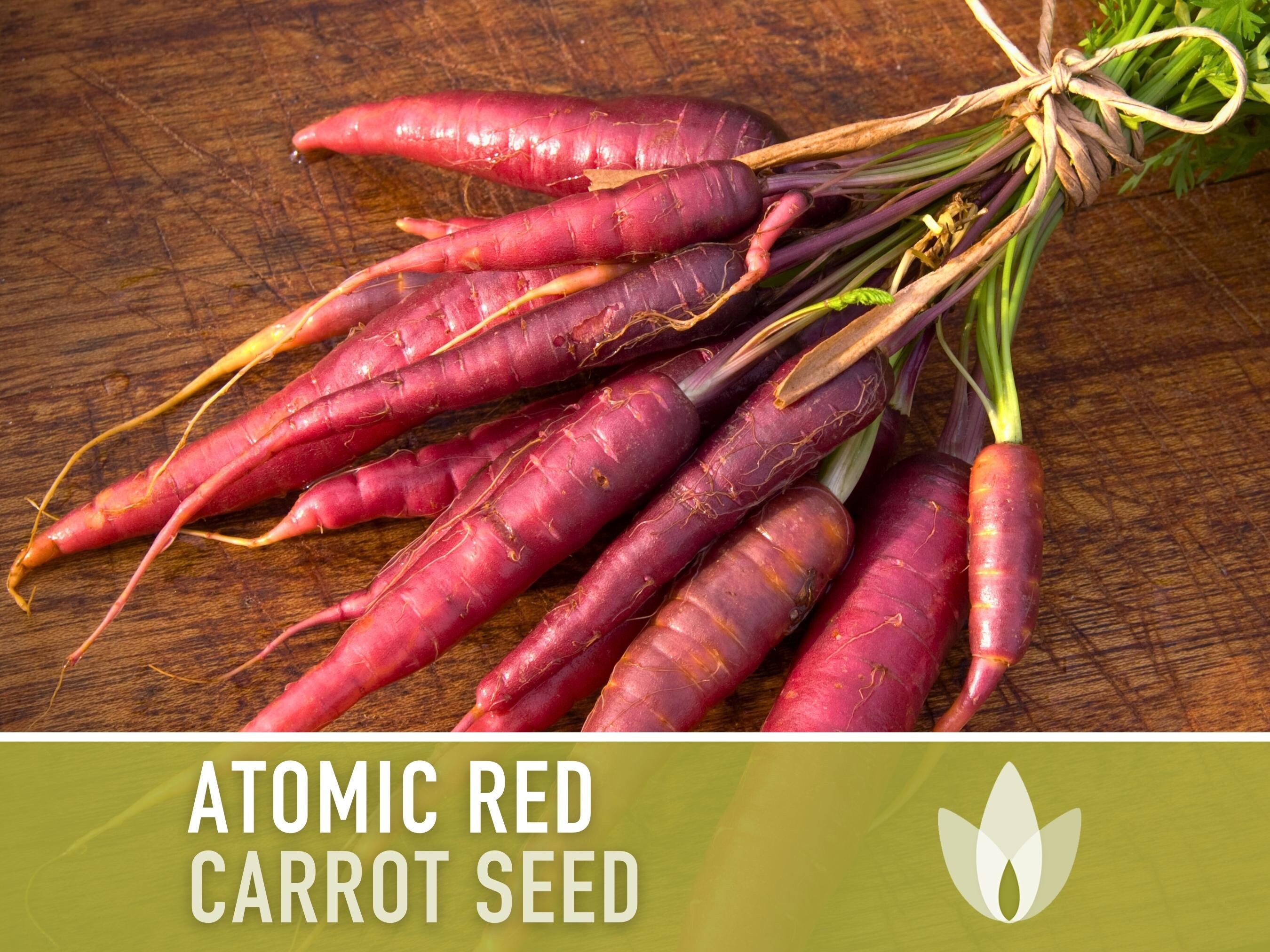 Atomic Red Carrots
