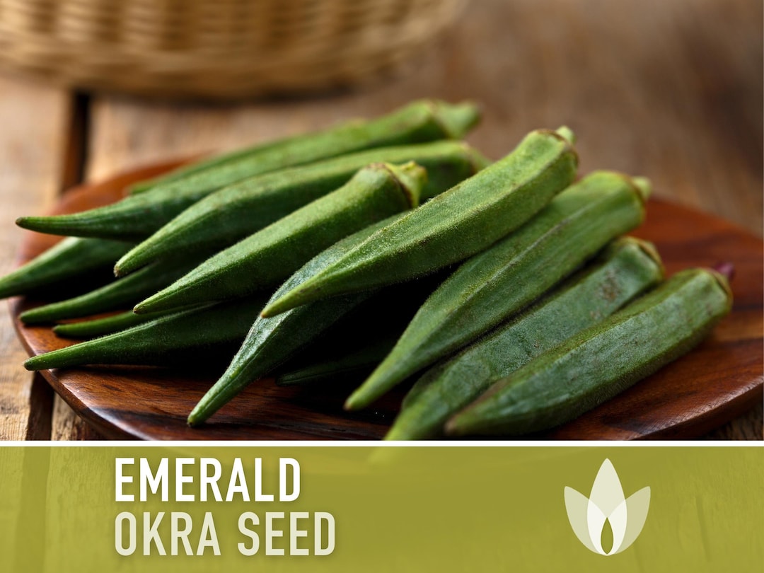 Emerald Green Velvet Okra Heirloom Seeds - Non-gmo, Open Pollinated - Etsy