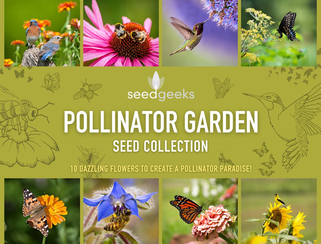 Pollinator Garden Seed Collection 10 Dazzling Heirloom - Etsy