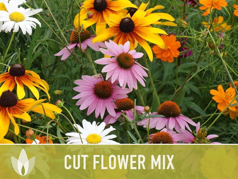 Cutting Flower Seed Mix, Heirloom, Native Flower Seeds - Etsy