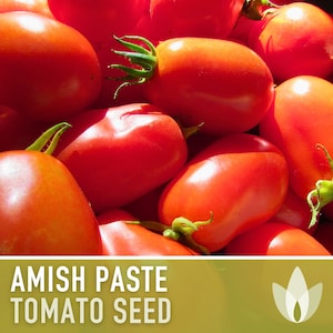 Amish Paste Tomato - 30 Seeds - Heirloom Tomato, Large Paste Tomato, Sauce Tomato, Plum Tomato ...