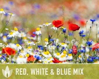 Rocket Red White & Blue Wildflower Seed Mix ST29 - Etsy