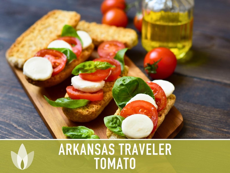 Arkansas Traveler Tomato - Heirloom Seeds, Indeterminate Tomato, Heat ...