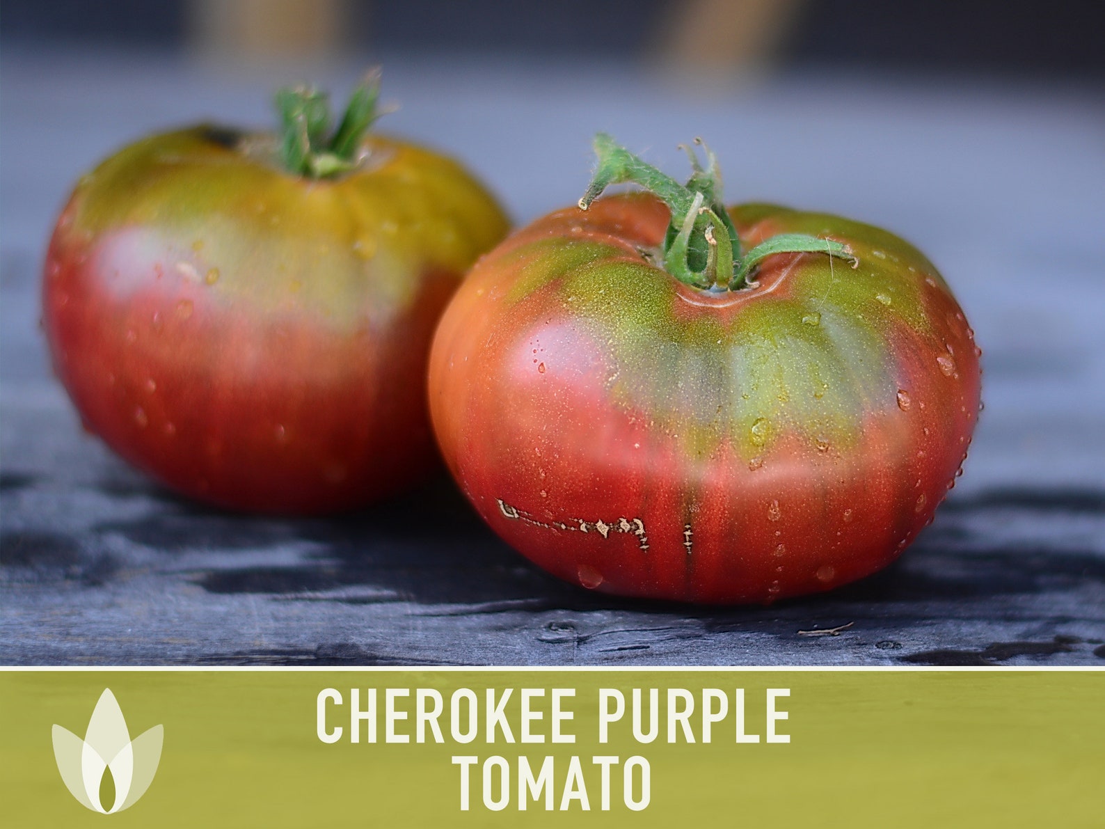 Cherokee Purple Tomato Heirloom Seeds - Etsy