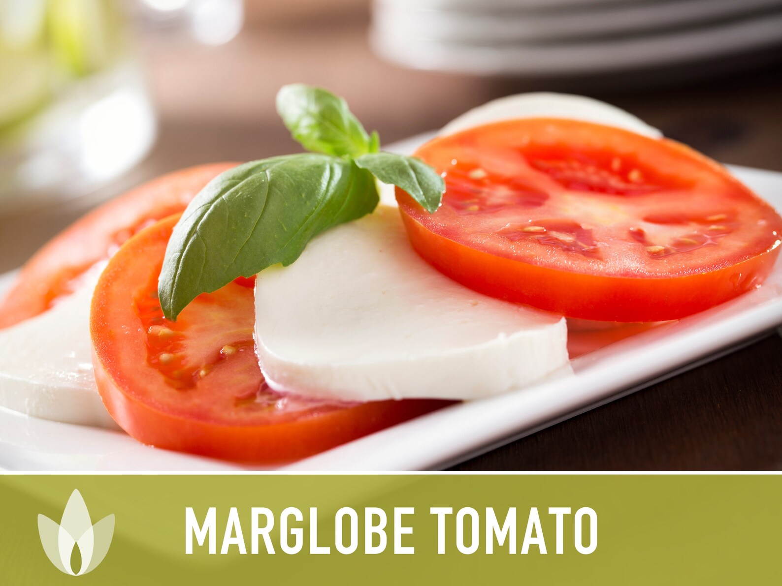 Marglobe Tomato Heirloom Seeds - Etsy