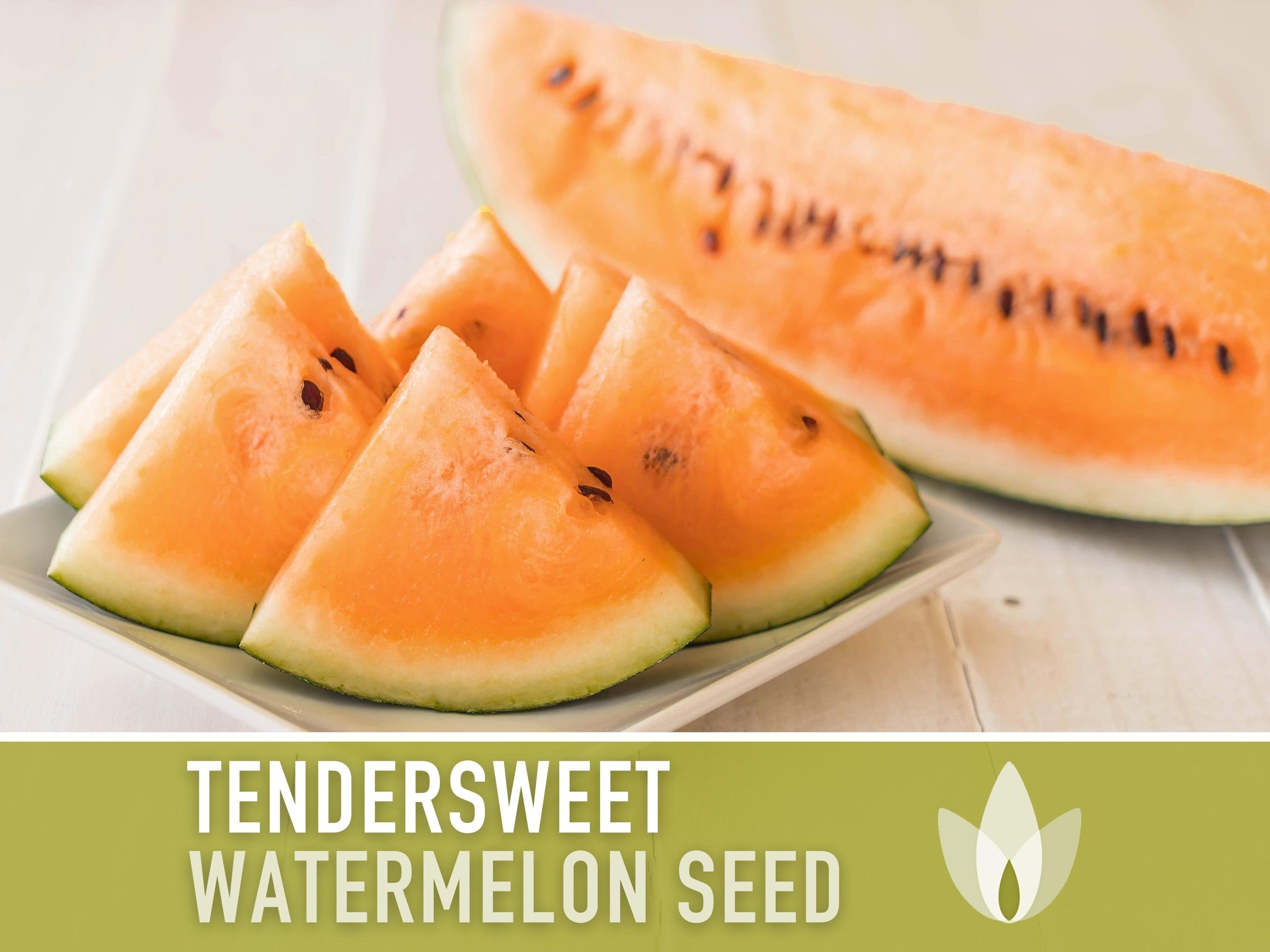 One Watermelon Seed