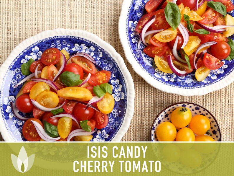 Isis Candy Cherry Tomato Heirloom Seeds - Etsy