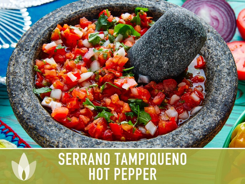Serrano Tampiqueno Hot Pepper Heirloom Seeds - Mexican Cuisine, Salsa ...