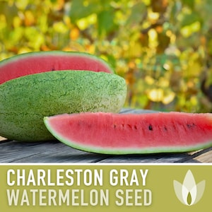 Charleston Gray Watermelon Seeds - Heirloom Seeds, 20-40lb Melon, Super ...