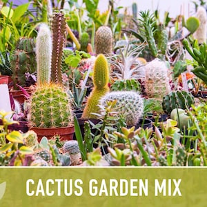 Cactus Garden Seed Mix - Heirloom Seeds, Perennial, Desert Native ...