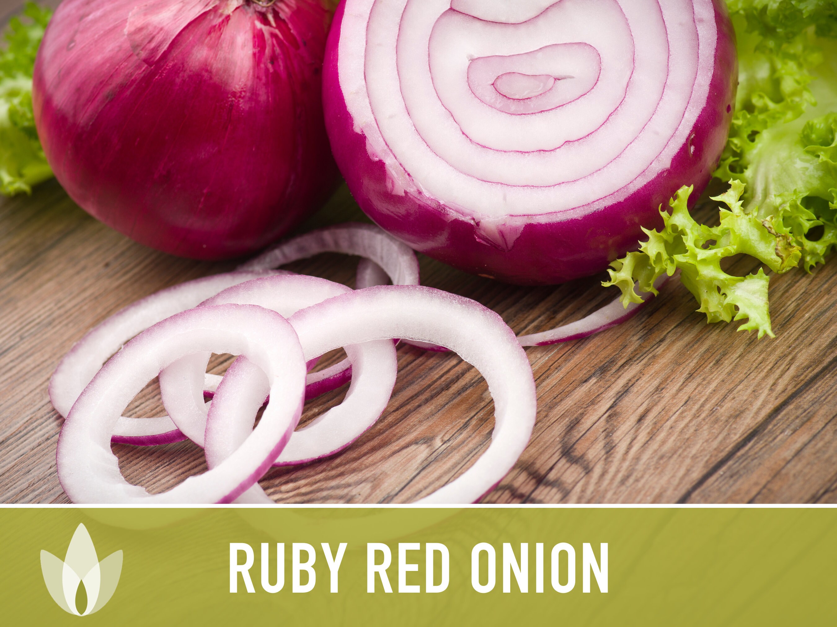 Ruby Red Onion Seeds - Heirloom Seeds, Root Vegetables, Fall Garden ...