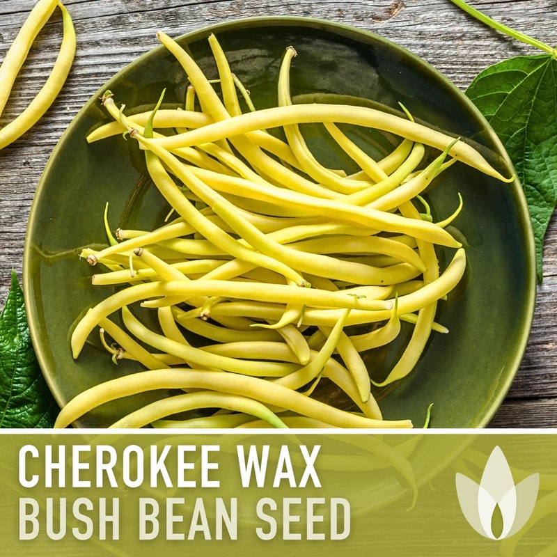 Wax Seal Kit Garden - Etsy