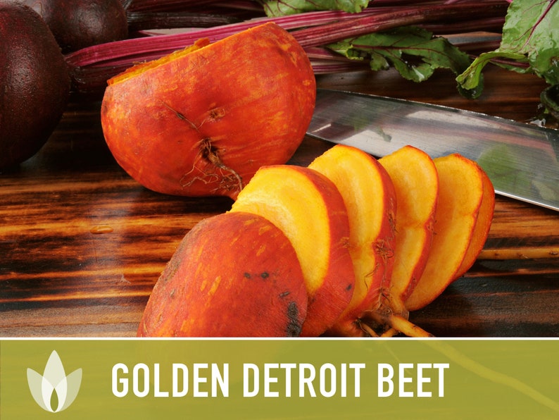 Golden Detroit Beet Seeds Heirloom Seeds Beet Salad - Etsy