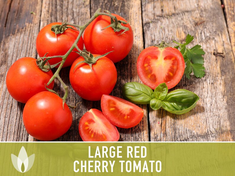 Large Red Cherry Tomato Heirloom Seeds - Etsy