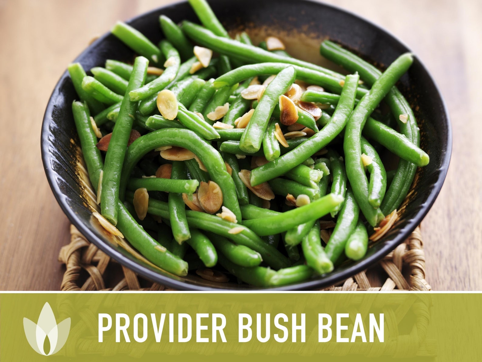 Provider Bush Bean Seeds Heirloom Open Pollinated Easy to - Etsy