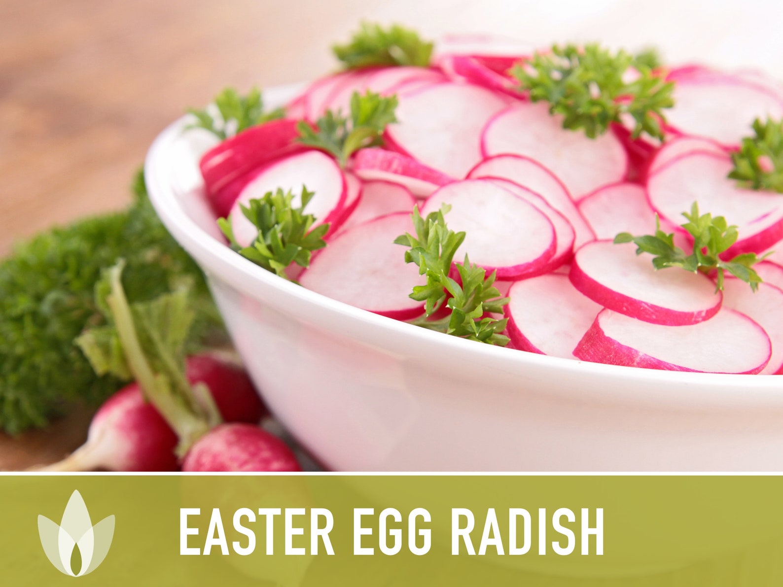 Easter Egg Radish Heirloom Seeds - Etsy
