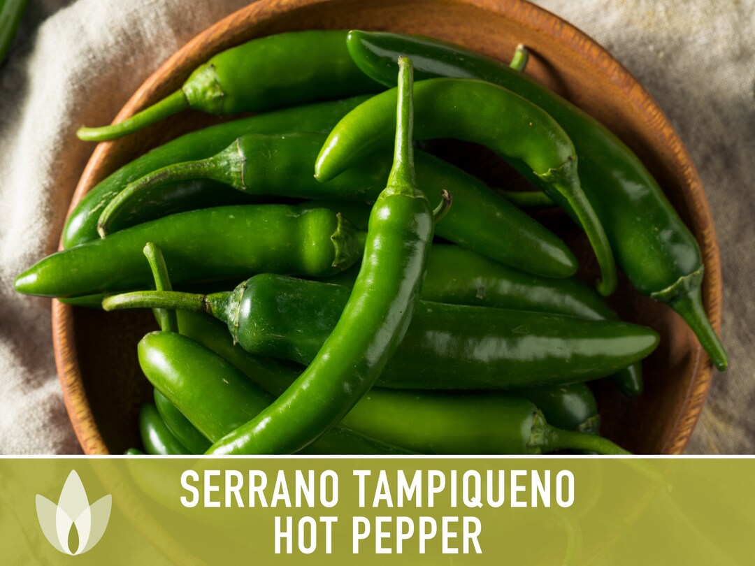 Serrano Tampiqueno Hot Pepper Heirloom Seeds Mexican - Etsy