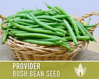Bean Provider Bush Bean Seeds ,COOL BEANS N Sprouts Brand. Home ...