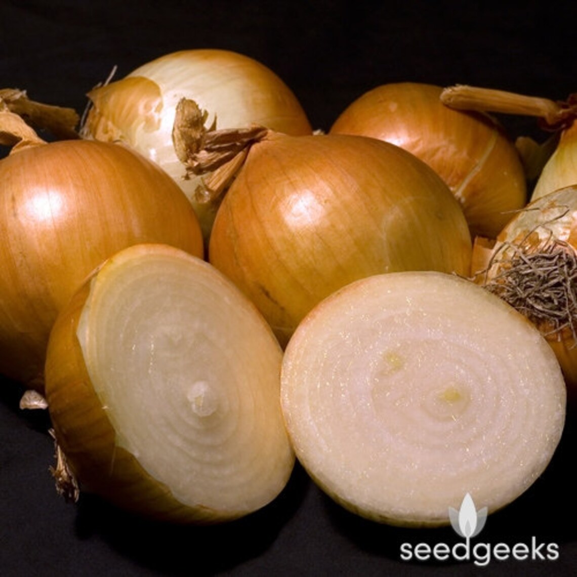 Yellow Sweet Spanish Onion Seeds Heirloom Organic Non-gmo - Etsy