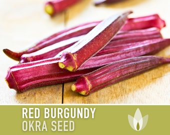 Red Burgundy Okra Gumbo Premium Seed Packet - Etsy