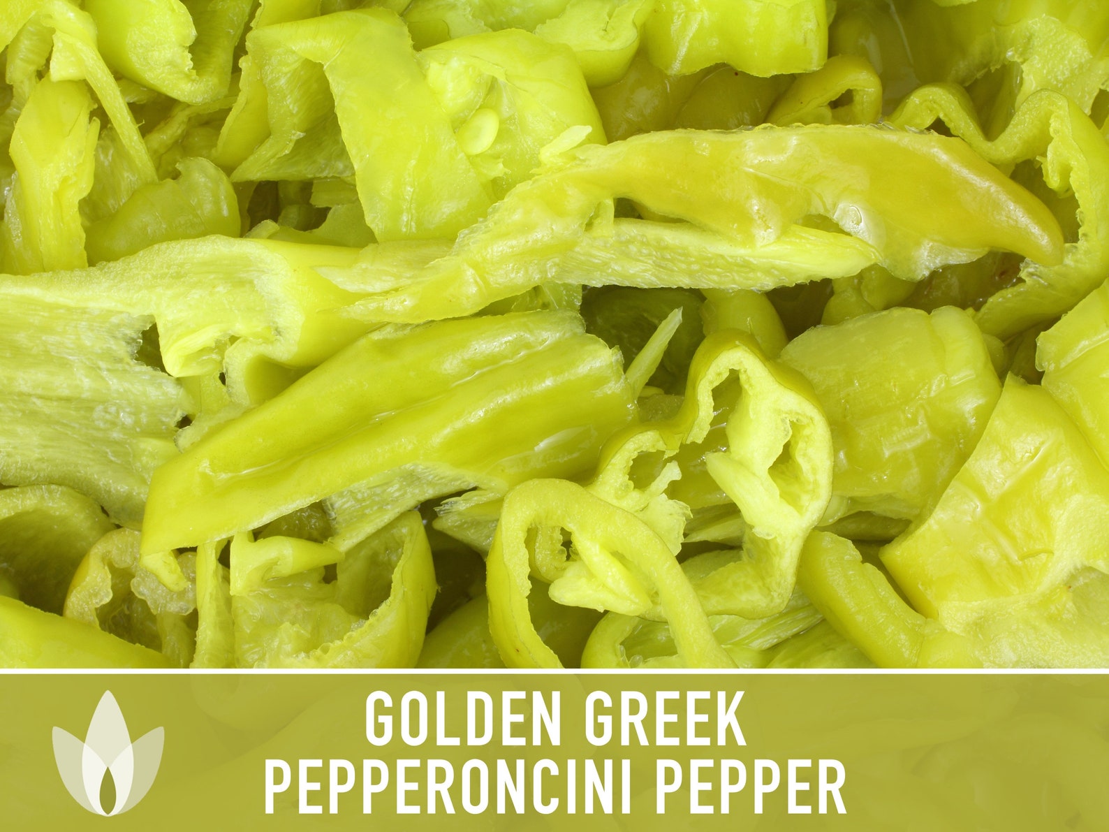 Golden Greek Pepperoncini Pepper Heirloom Seeds Pickled - Etsy