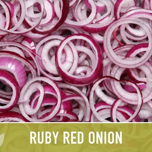 Ruby Red Onion Seeds - Heirloom Seeds, Root Vegetables, Fall Garden ...