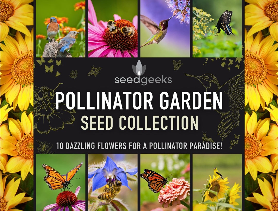 Pollinator Garden Seed Collection 10 Dazzling Heirloom Flowers to Grow ...