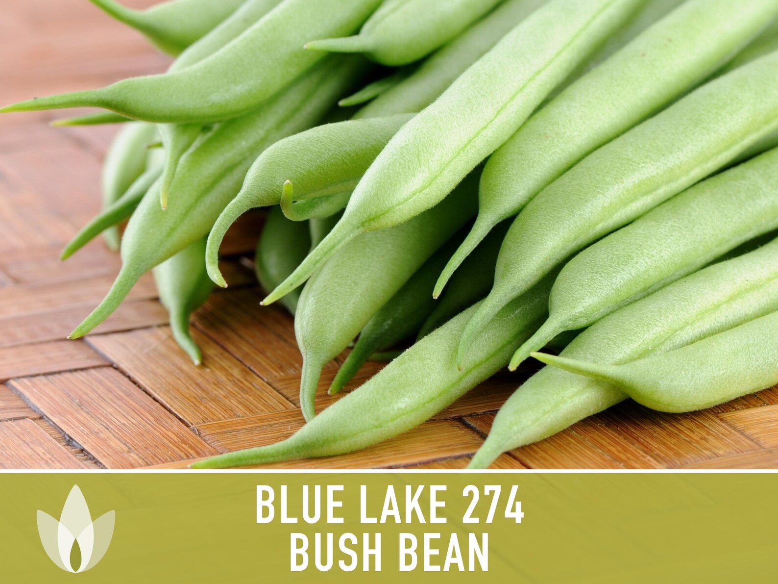 Blue Lake 274 Bush Bean Seeds Heirloom Non-gmo Open - Etsy
