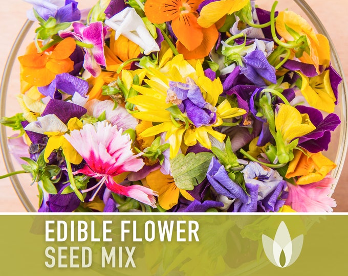 50 Seeds Organic Edible Flower and Herbs Mix Pansies, Cornflowers ...