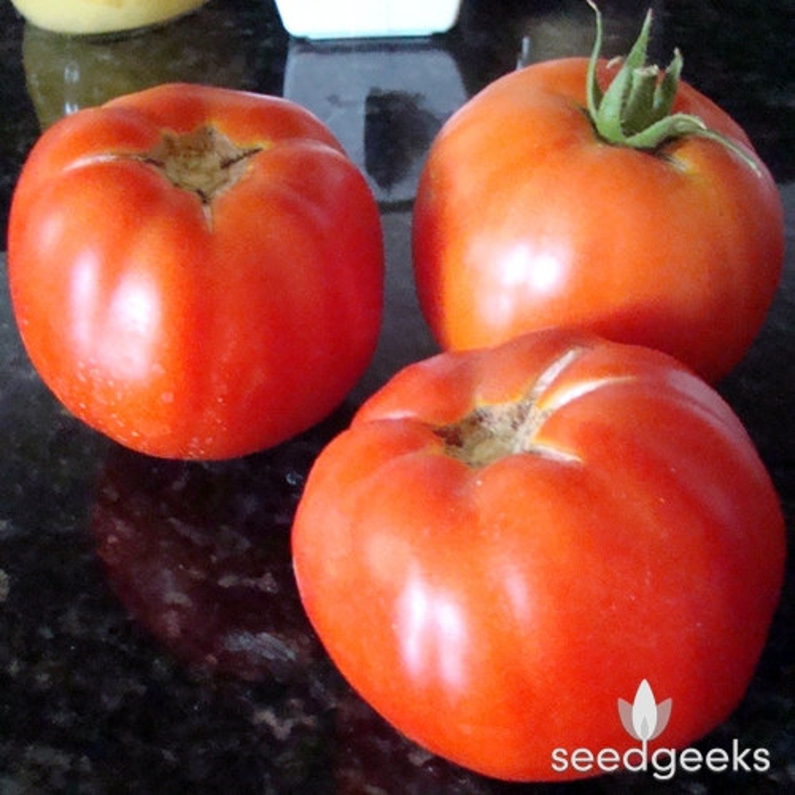Marglobe Tomato Heirloom Seeds | Etsy