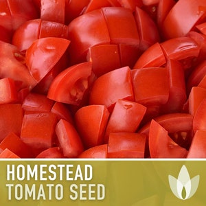 Homestead Improved Tomato Seeds – Heirloom, Heat Tolerant, Canning ...