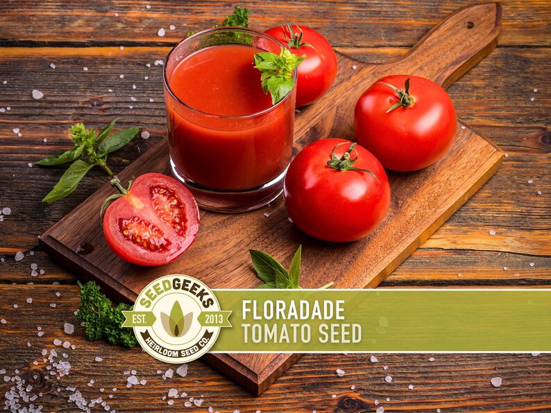 Floradade Tomato Seeds – Heirloom, High Yield, Heat Tolerant - Etsy