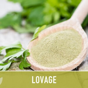 Lovage Herb Heirloom Seeds - Medicinal Herb, Herb Garden, Non-gmo, Open Pollinated - Etsy