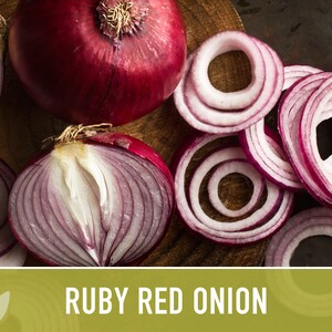 Ruby Red Onion Seeds - Heirloom Seeds, Root Vegetables, Fall Garden ...