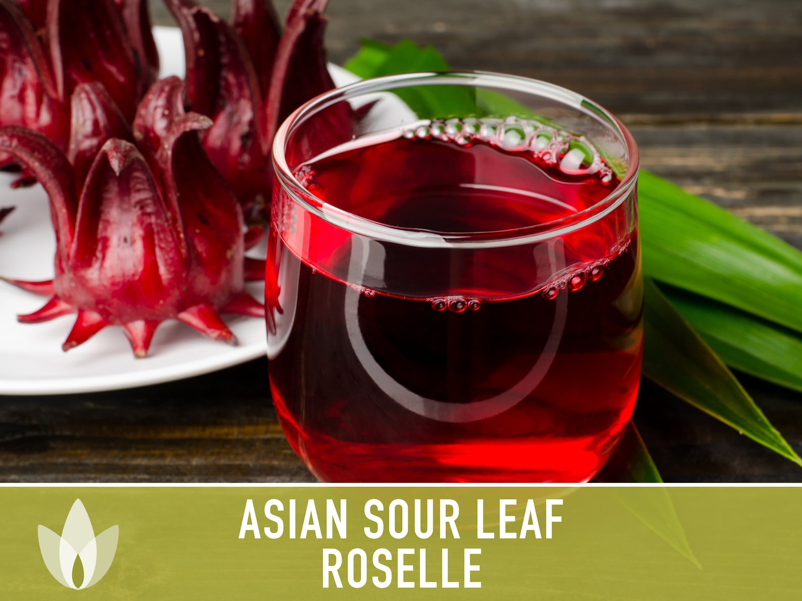 Asian Sour Leaf Roselle Seeds Red Hibiscus Heirloom Seeds - Etsy