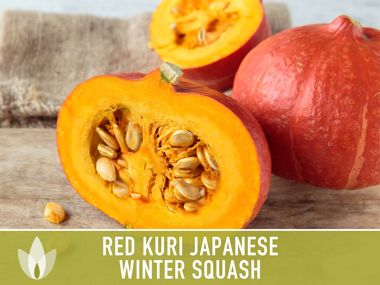 Red Kuri Japanese Winter Squash Heirloom Seeds - Etsy