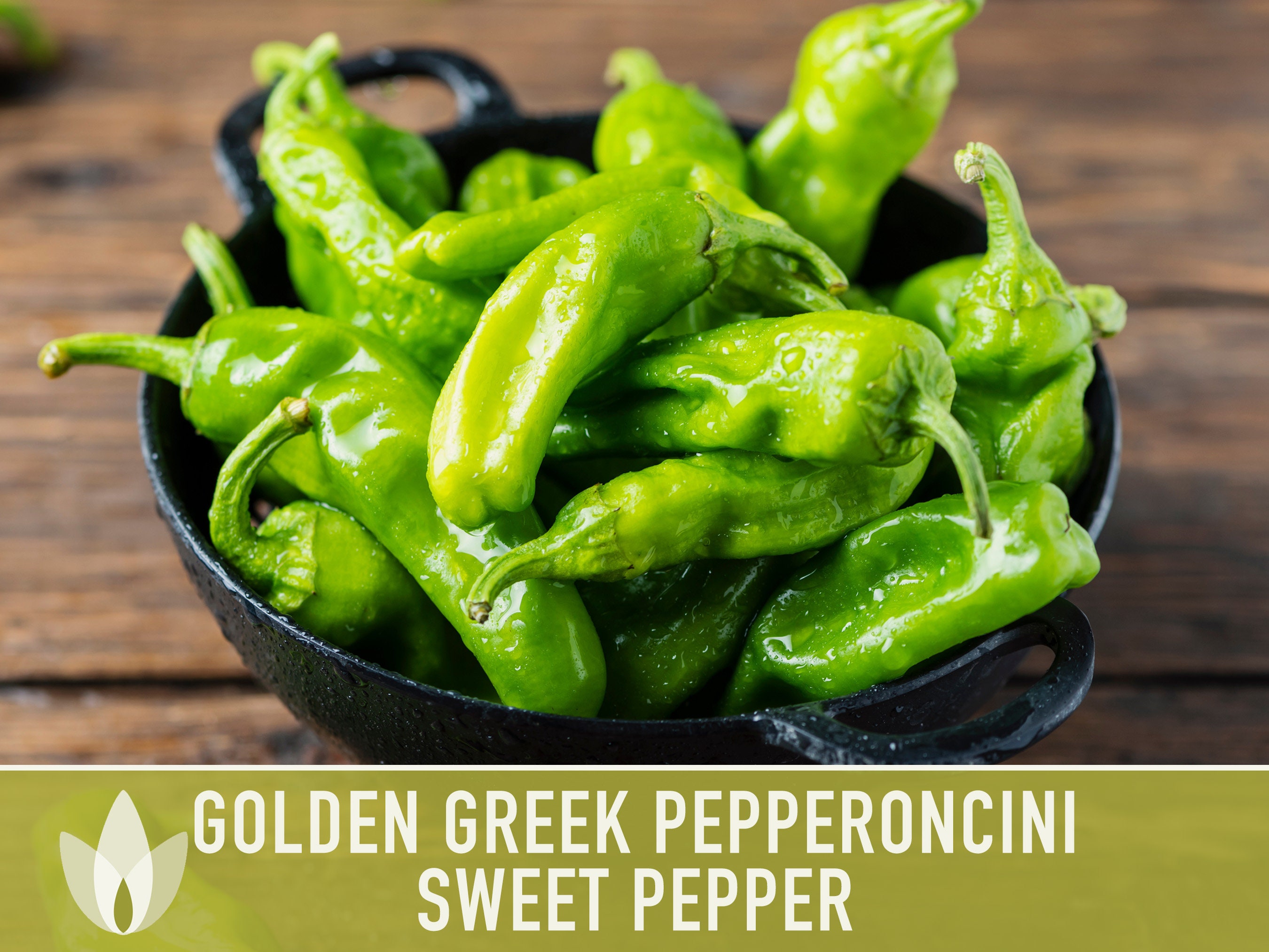 Golden Greek Pepperoncini Pepper Heirloom Seeds - Etsy