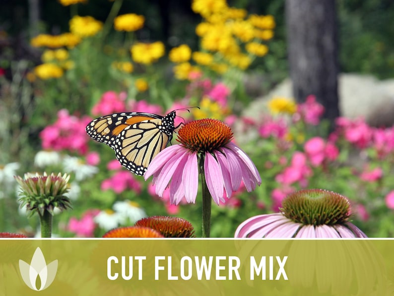 Cutting Flower Seed Mix, Heirloom, Native Flower Seeds - Etsy