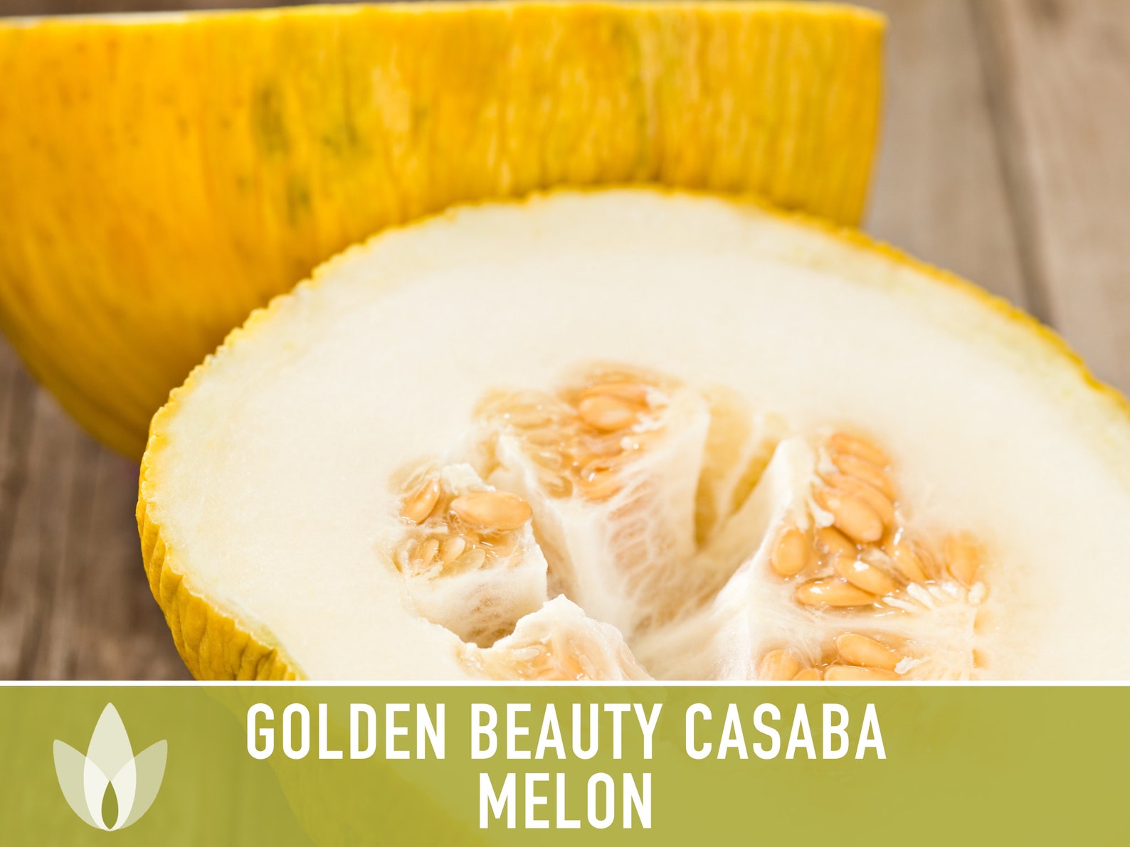 Golden Beauty Casaba Melon Seeds Heirloom Seeds White - Etsy