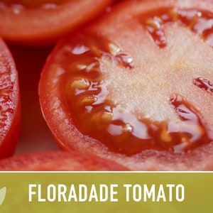 Floradade Tomato Seeds – Heirloom, High Yield, Heat Tolerant - Etsy