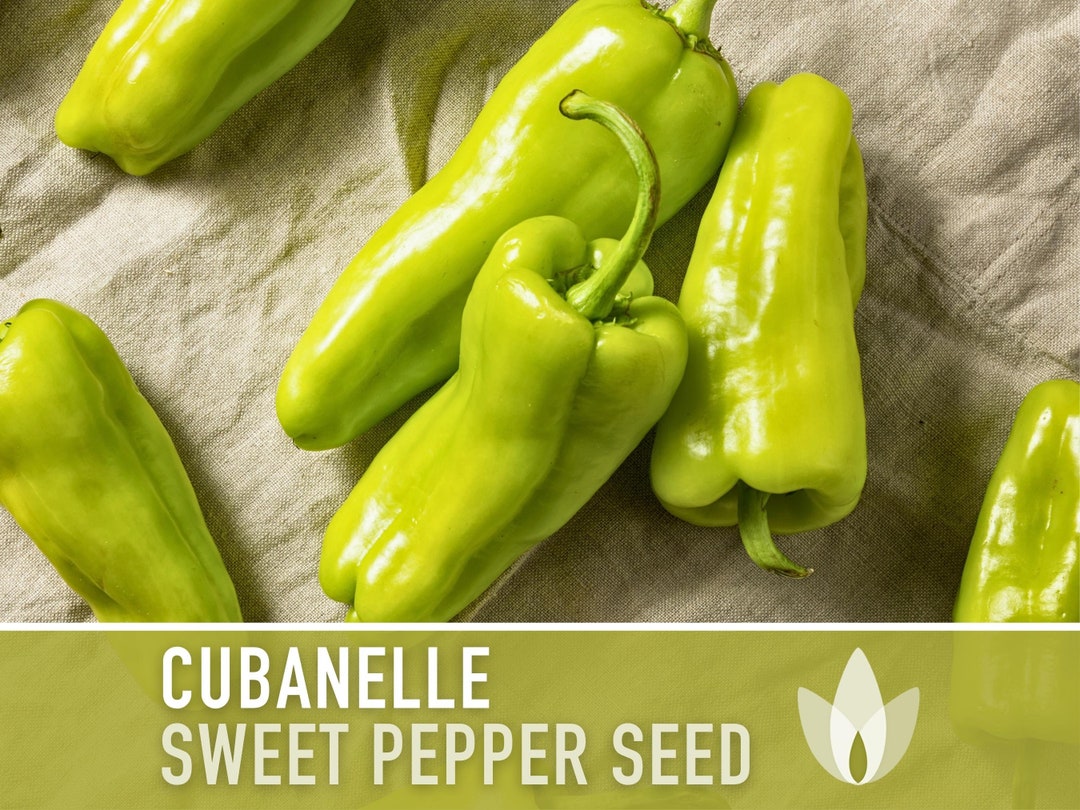 Cubanelle Sweet Pepper Seeds - Heirloom Seeds, Cuban Pepper, Italian ...