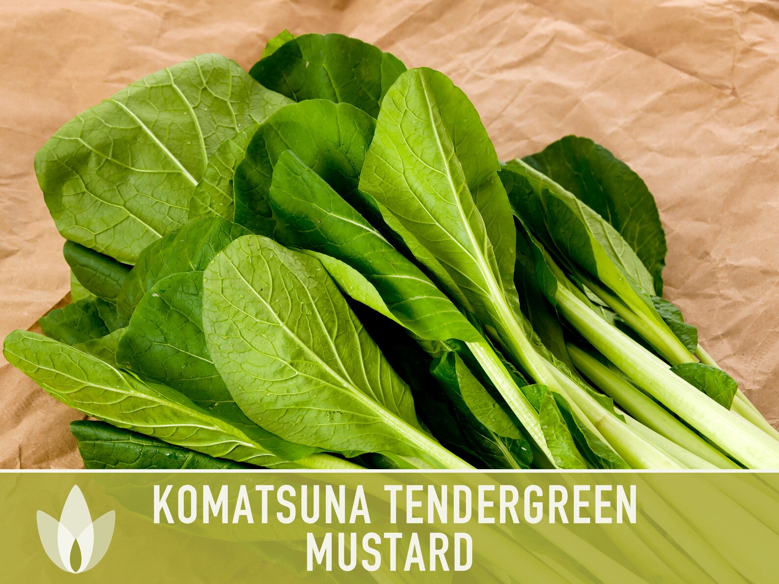 Komatsuna Tendergreen Mustard Greens Heirloom Seeds - Etsy