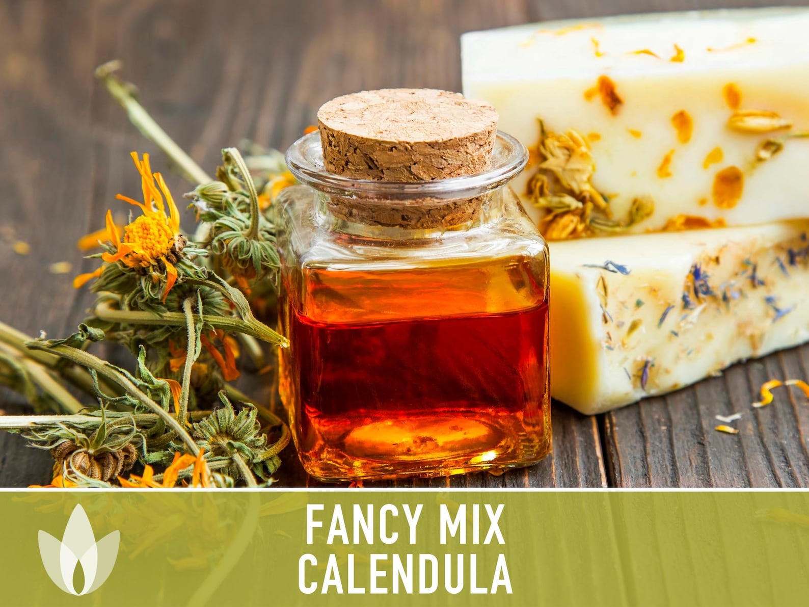 Calendula Officinalis, Fancy Mix Heirloom Seeds, Flower Seeds - Etsy