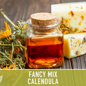 Calendula Officinalis, Fancy Mix Heirloom Seeds, Flower Seeds - Etsy