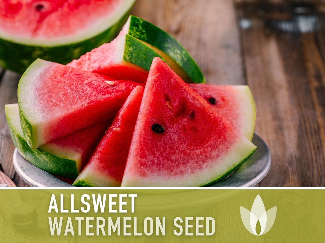 Allsweet Watermelon Heirloom Seeds - Non-gmo, Open Pollinated ...