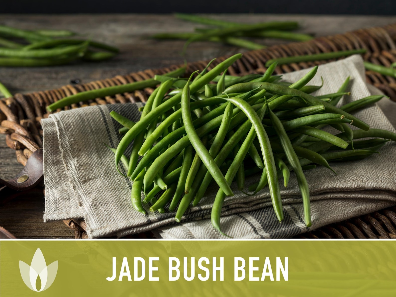 Jade Bush Bean Heirloom Seeds Non-gmo Open Pollinated - Etsy