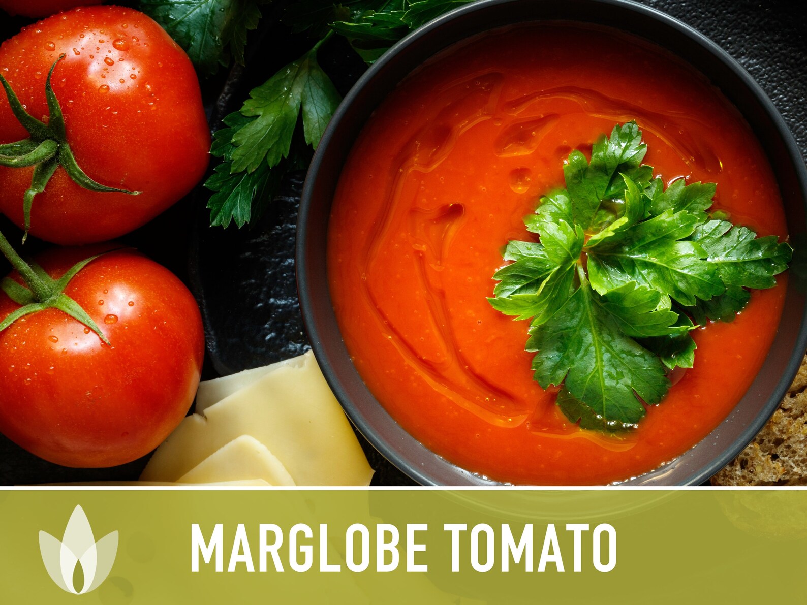 Marglobe Tomato Heirloom Seeds - Etsy