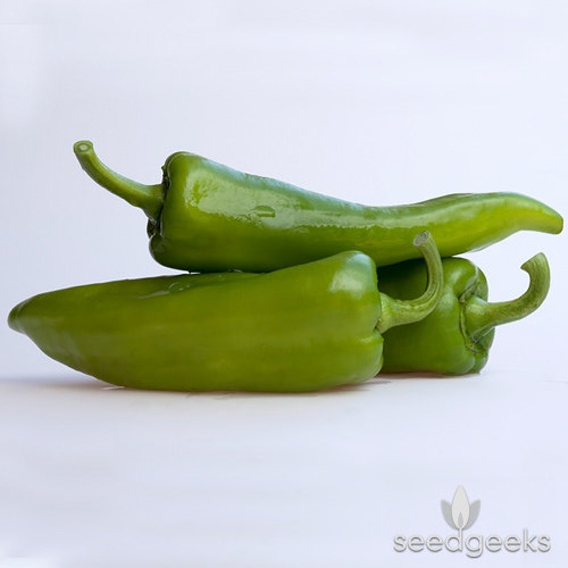 Anaheim Chili Pepper Heirloom Seeds | Etsy