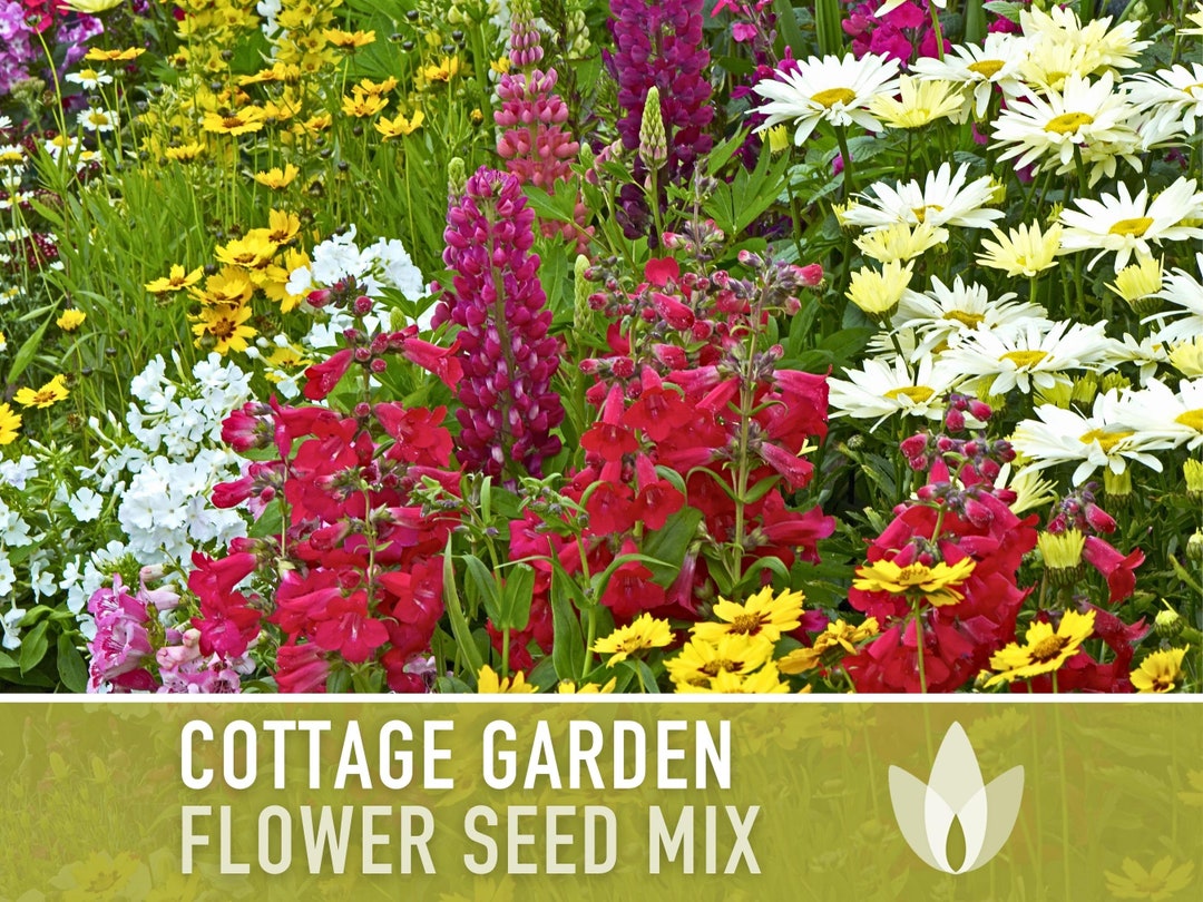 Cottage Garden Wildflower Seed Mix - Seed Packets, Heirloom Seeds ...