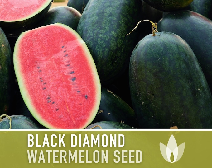 Black Watermelon Seeds - Etsy